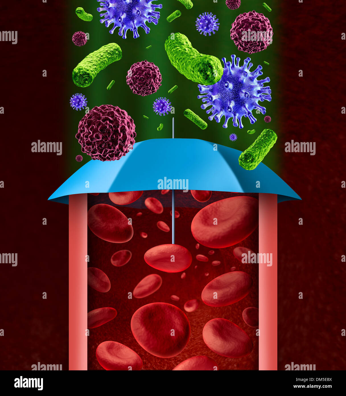 Human immunodeficiency immune system hi-res stock photography and ...