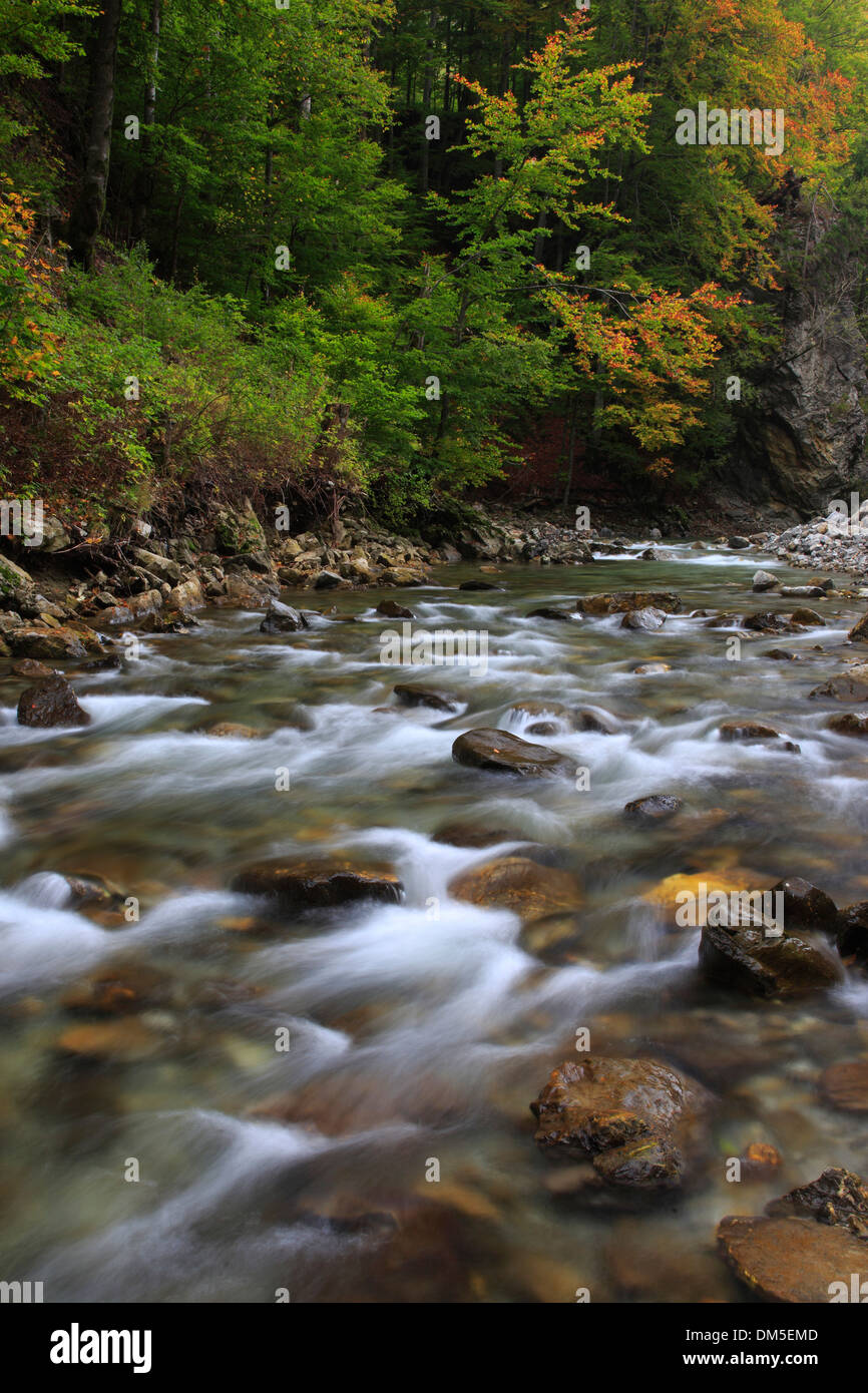 Alt St. Johann movement river flow riverbed river run body of water ...
