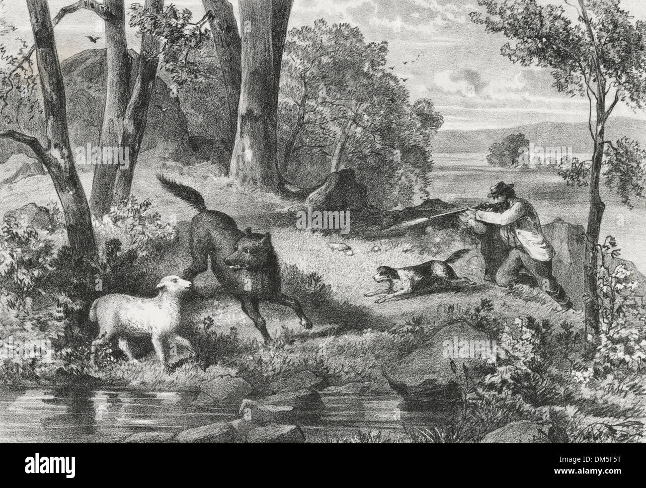 The wolf and the lamb hi-res stock photography and images - Alamy