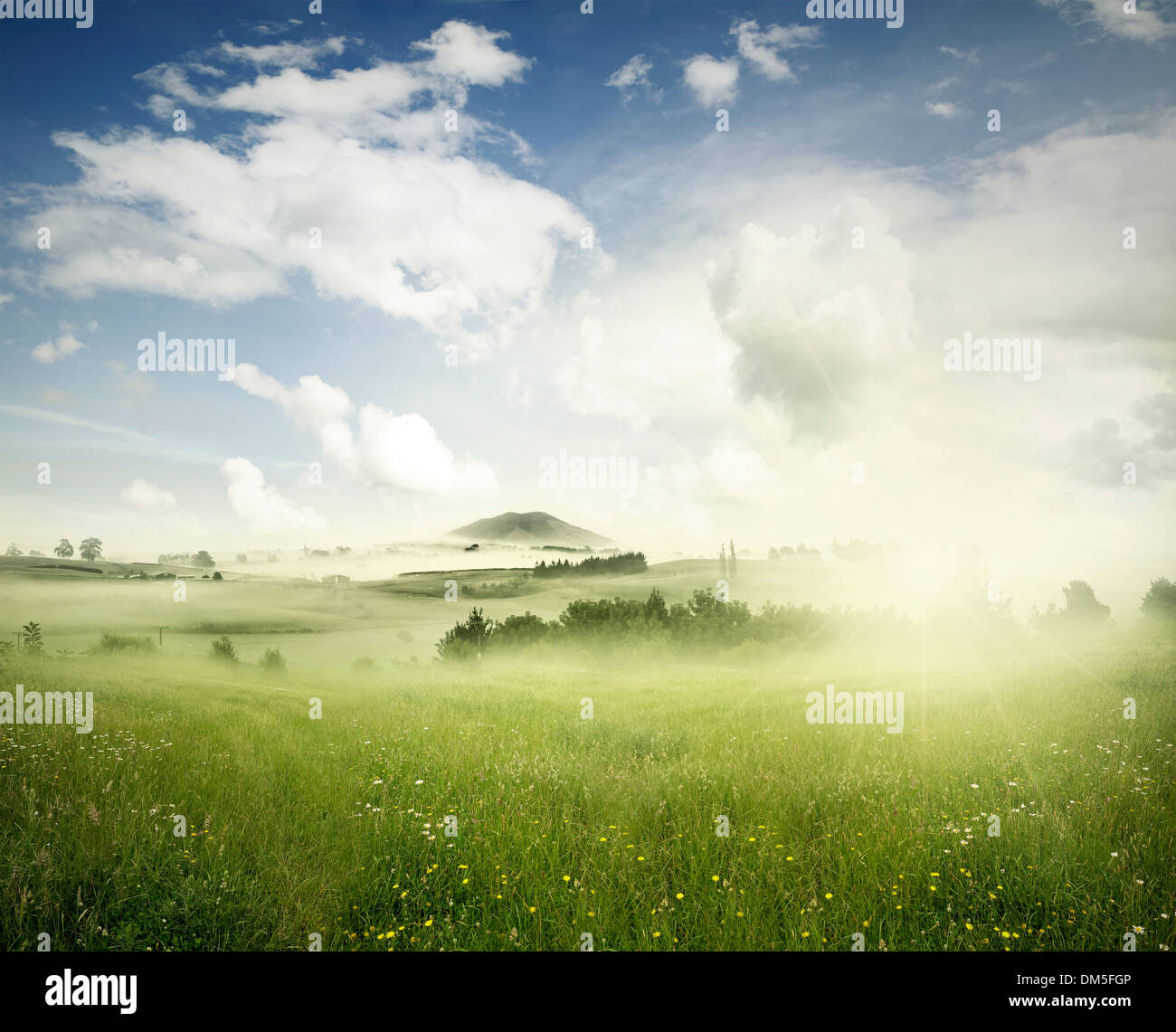 Meadow in landscape, New Zealand Stock Photo - Alamy