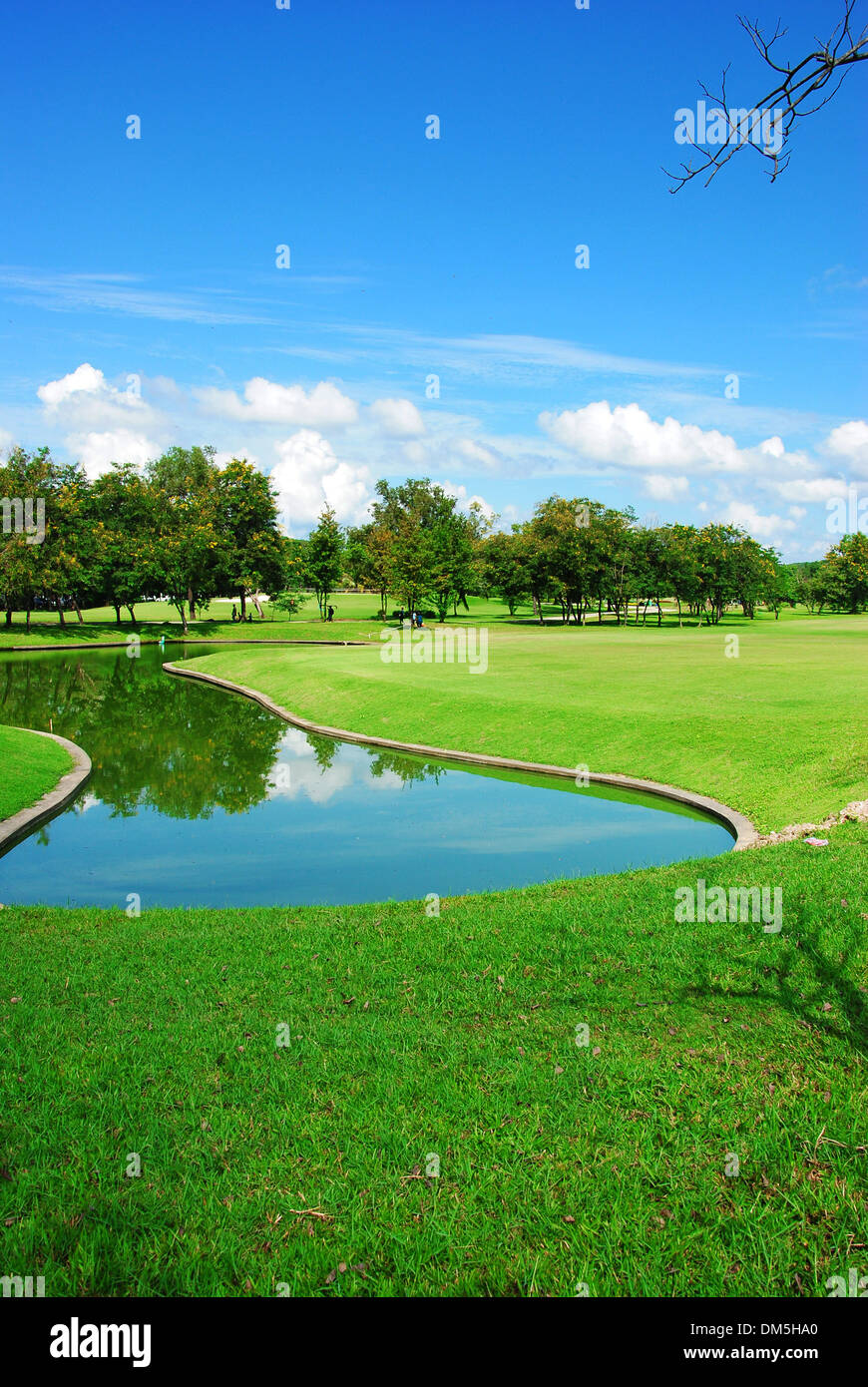 Sport golf course Stock Photo - Alamy