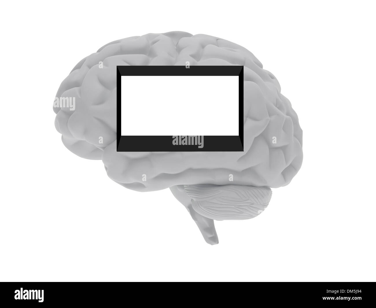 High resolution image. 3d rendered illustration. 3d human brain Stock ...