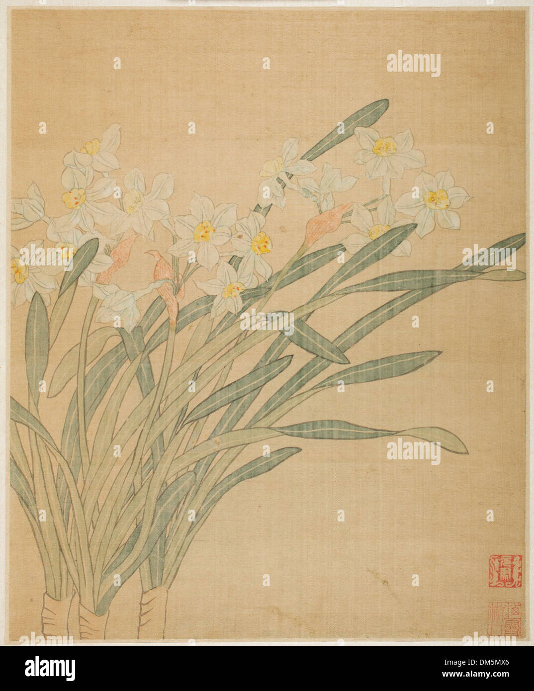 This album, consisting of 13 leaves, depicts delicate representations ...