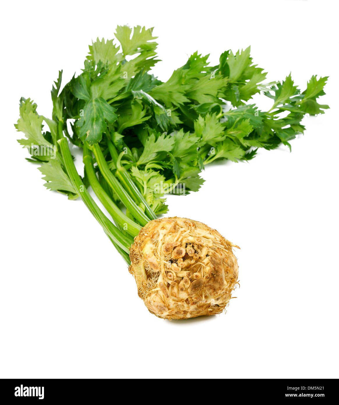celery isolated on white Stock Photo - Alamy