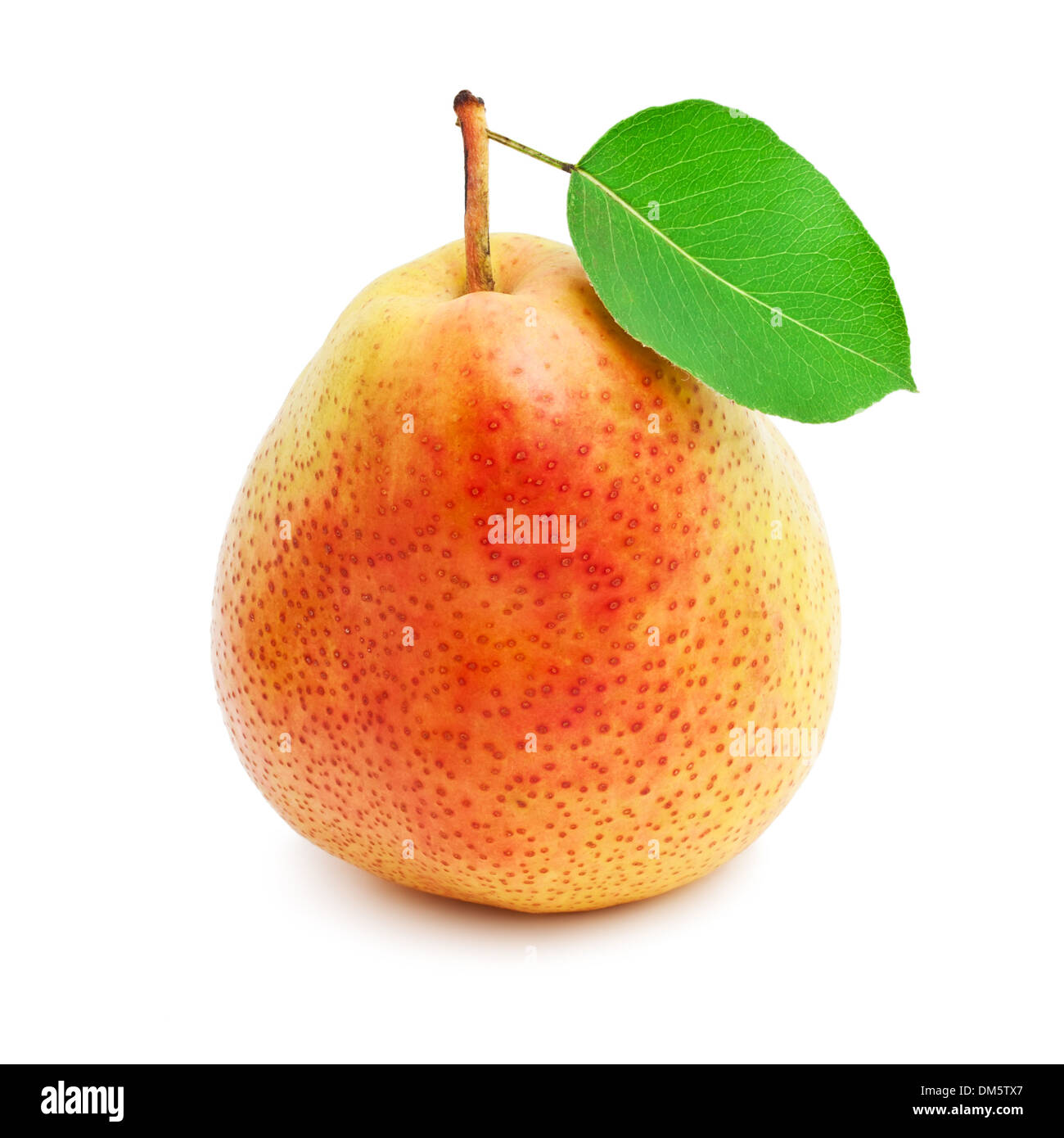 Studio food pear fruit studio red green hi-res stock photography and ...
