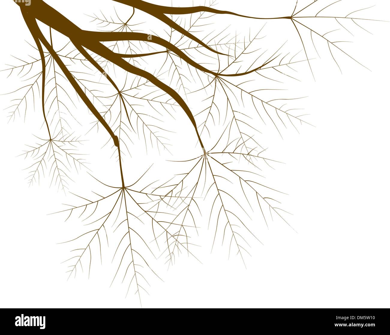 Forest in autumn background Stock Vector Images - Alamy