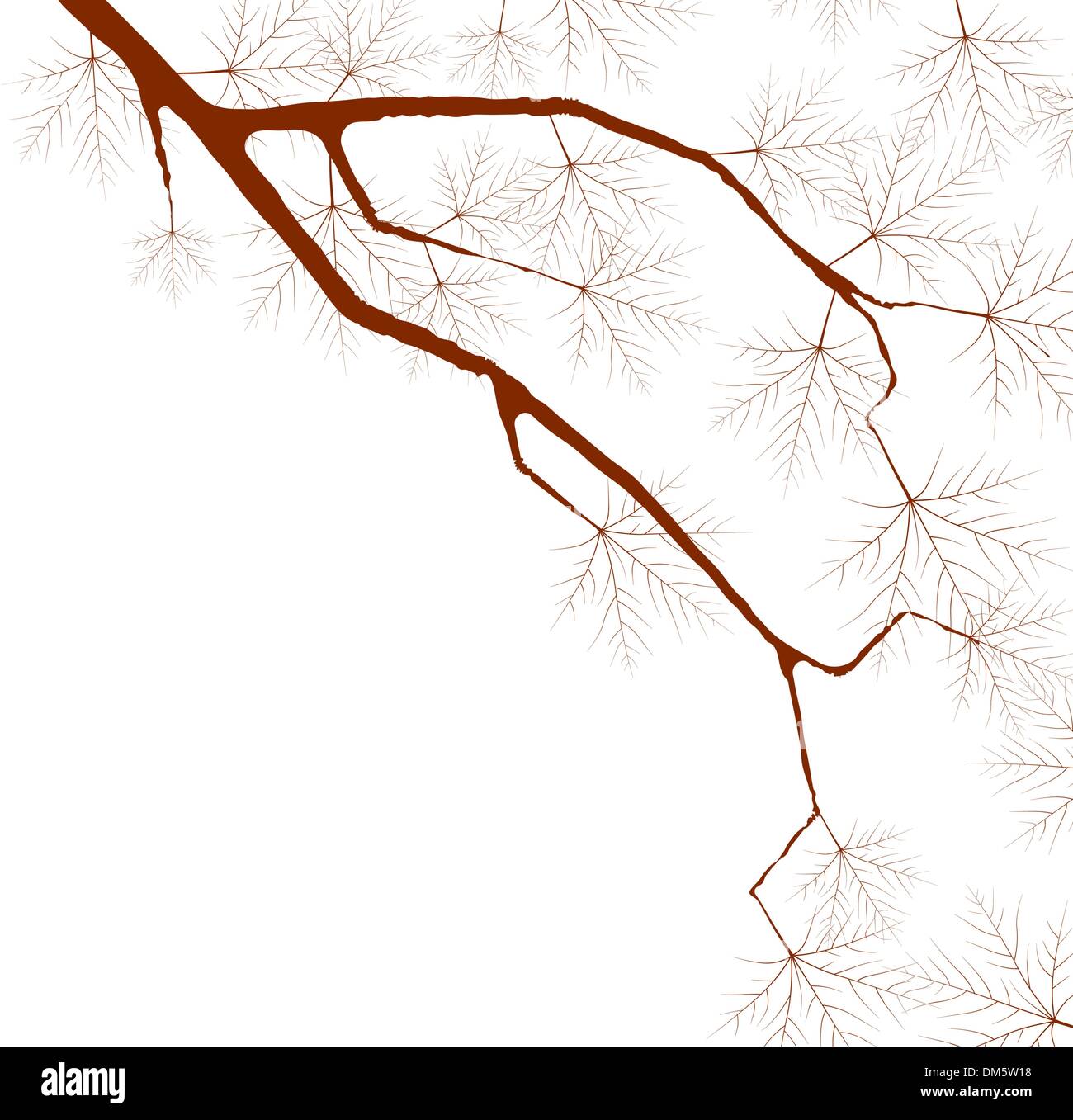 Sun rays in green Stock Vector Images - Alamy