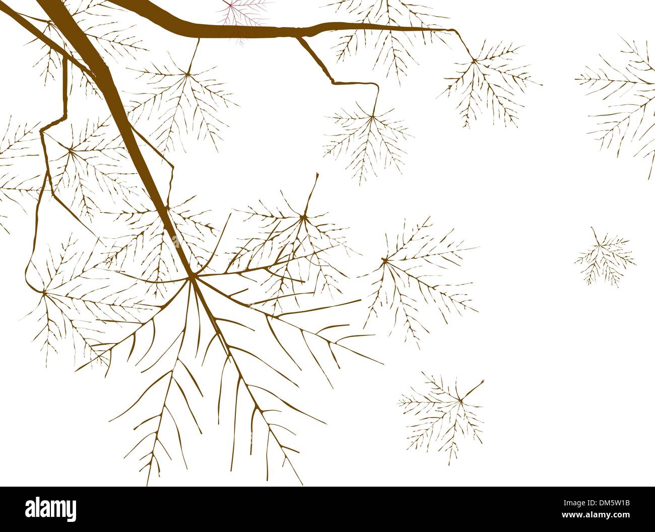 Tree in sunny forest Stock Vector Images - Alamy