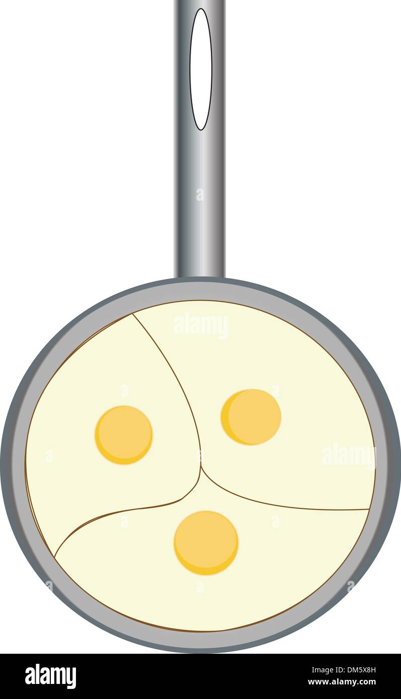 Cooking fried eggs on pan Stock Vector Images - Alamy