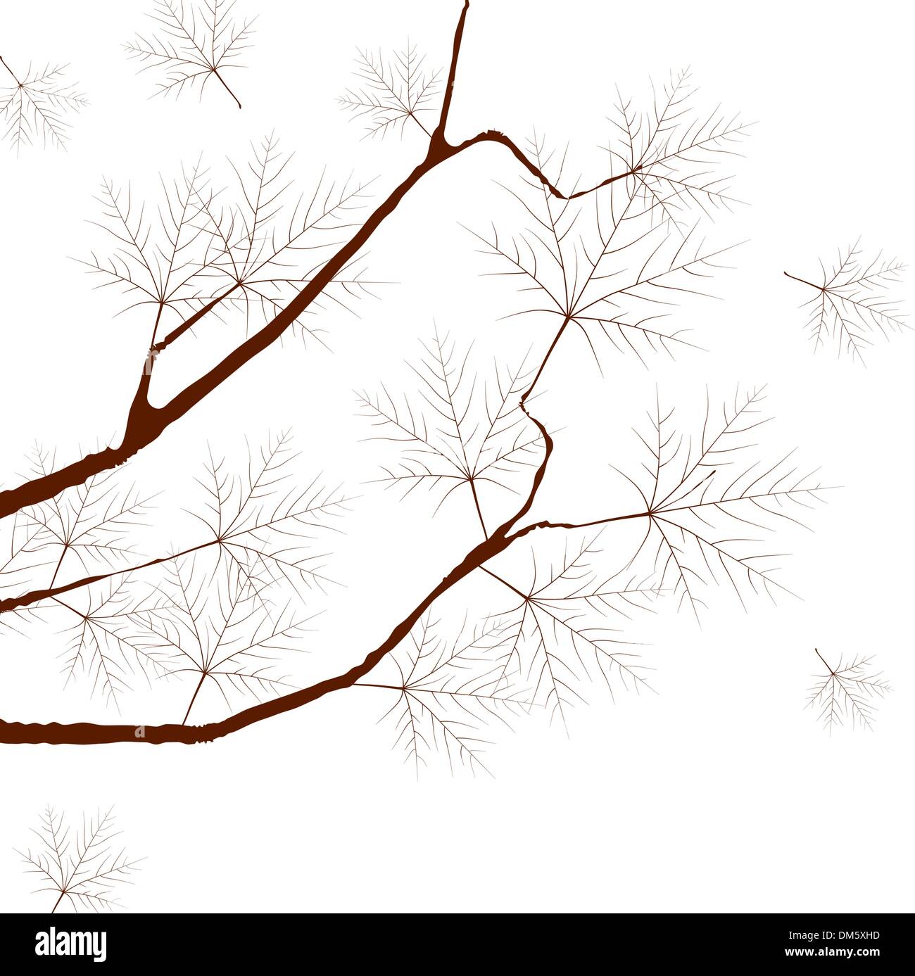 Focus detail Stock Vector Images - Alamy