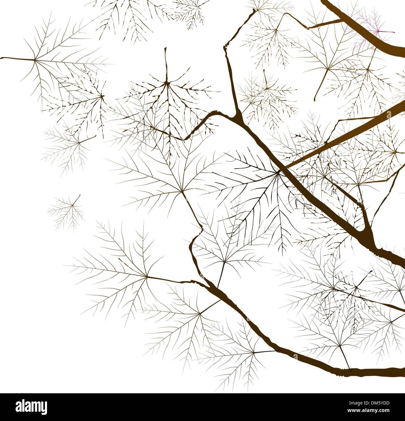 Focus detail Stock Vector Images - Alamy