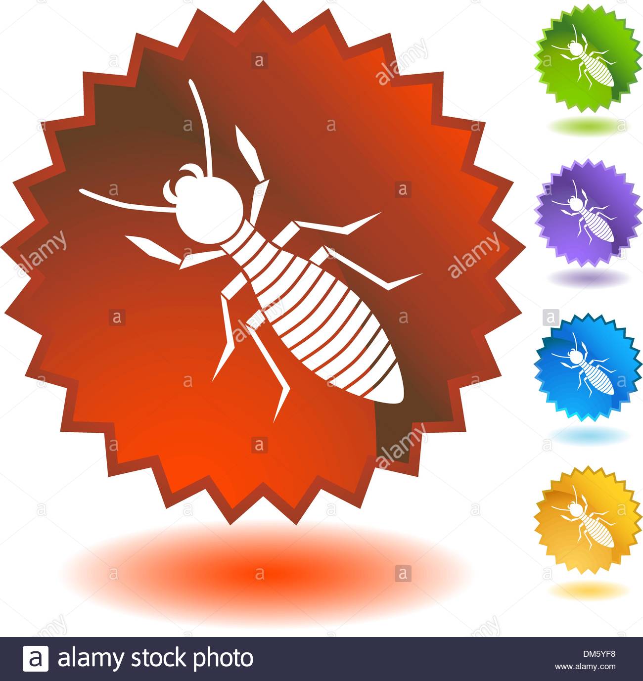 Termite Stock Vector Images - Alamy