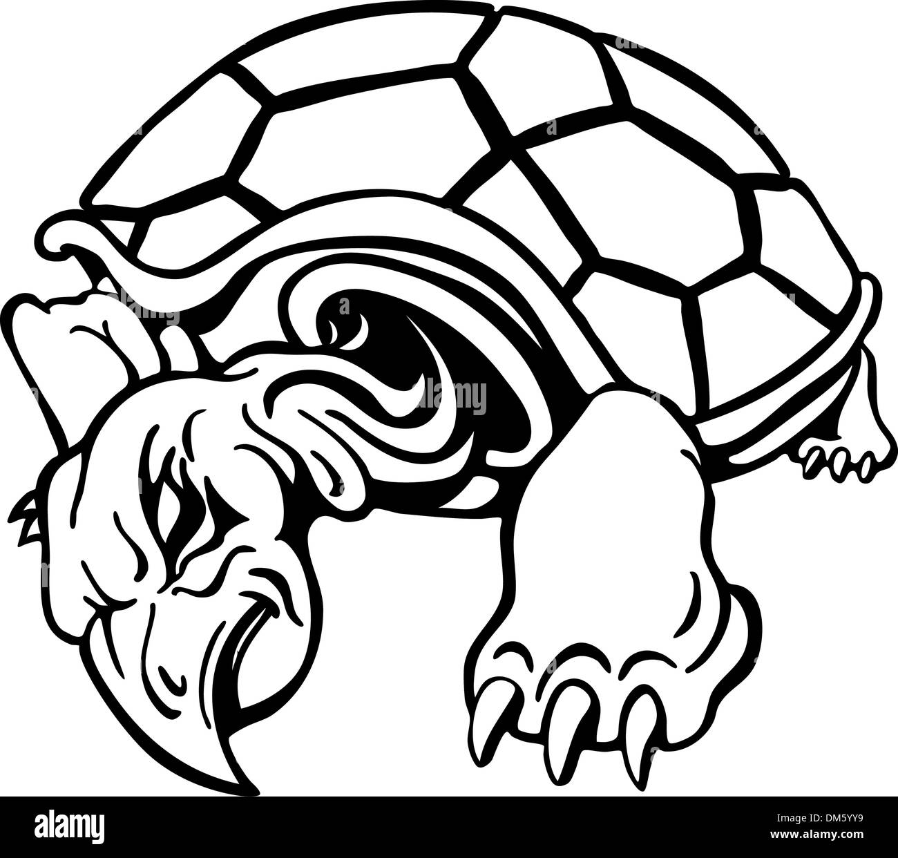 Angry Turtle Logo
