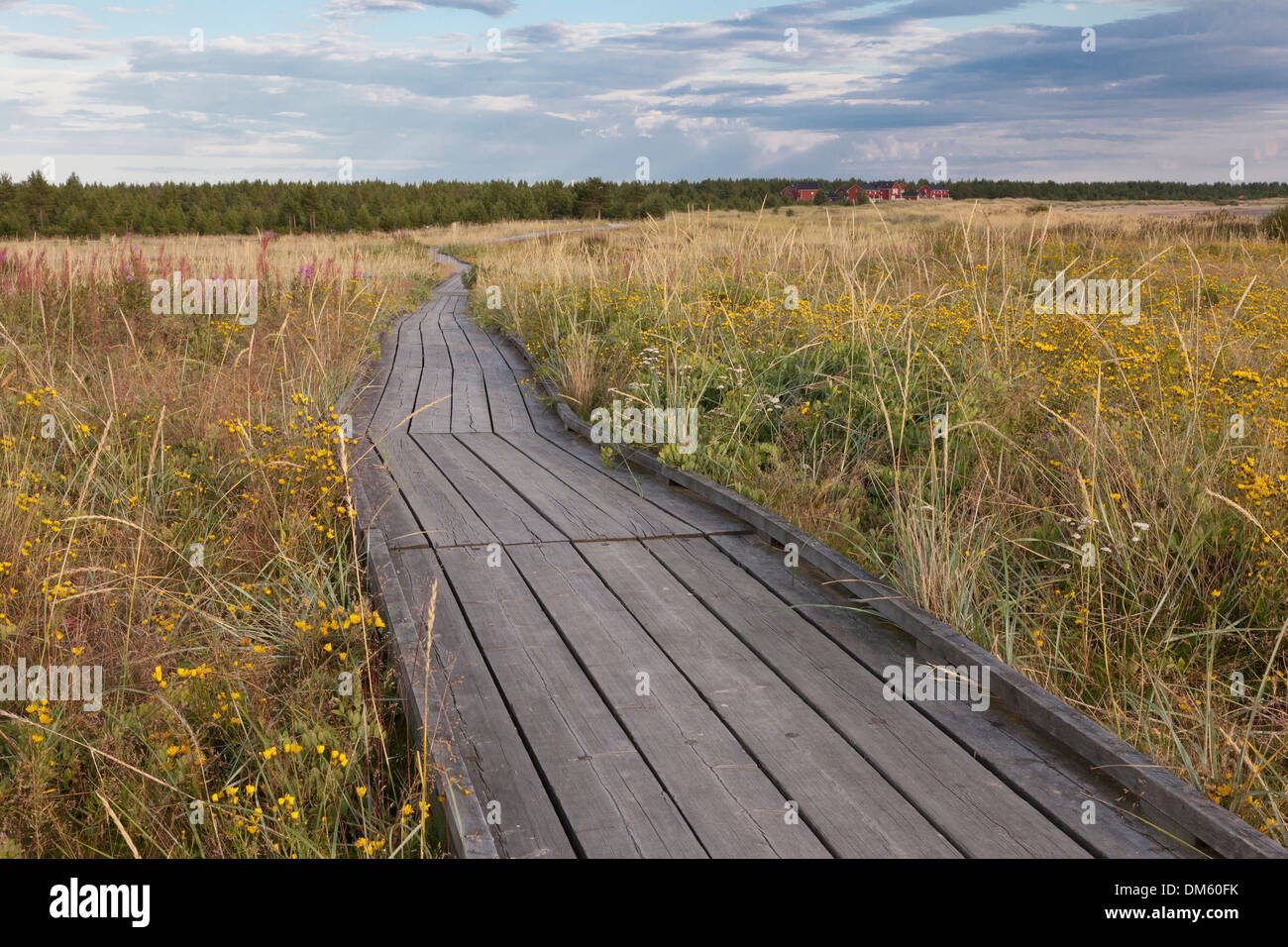 Summer boardwalk hi-res stock photography and images - Alamy