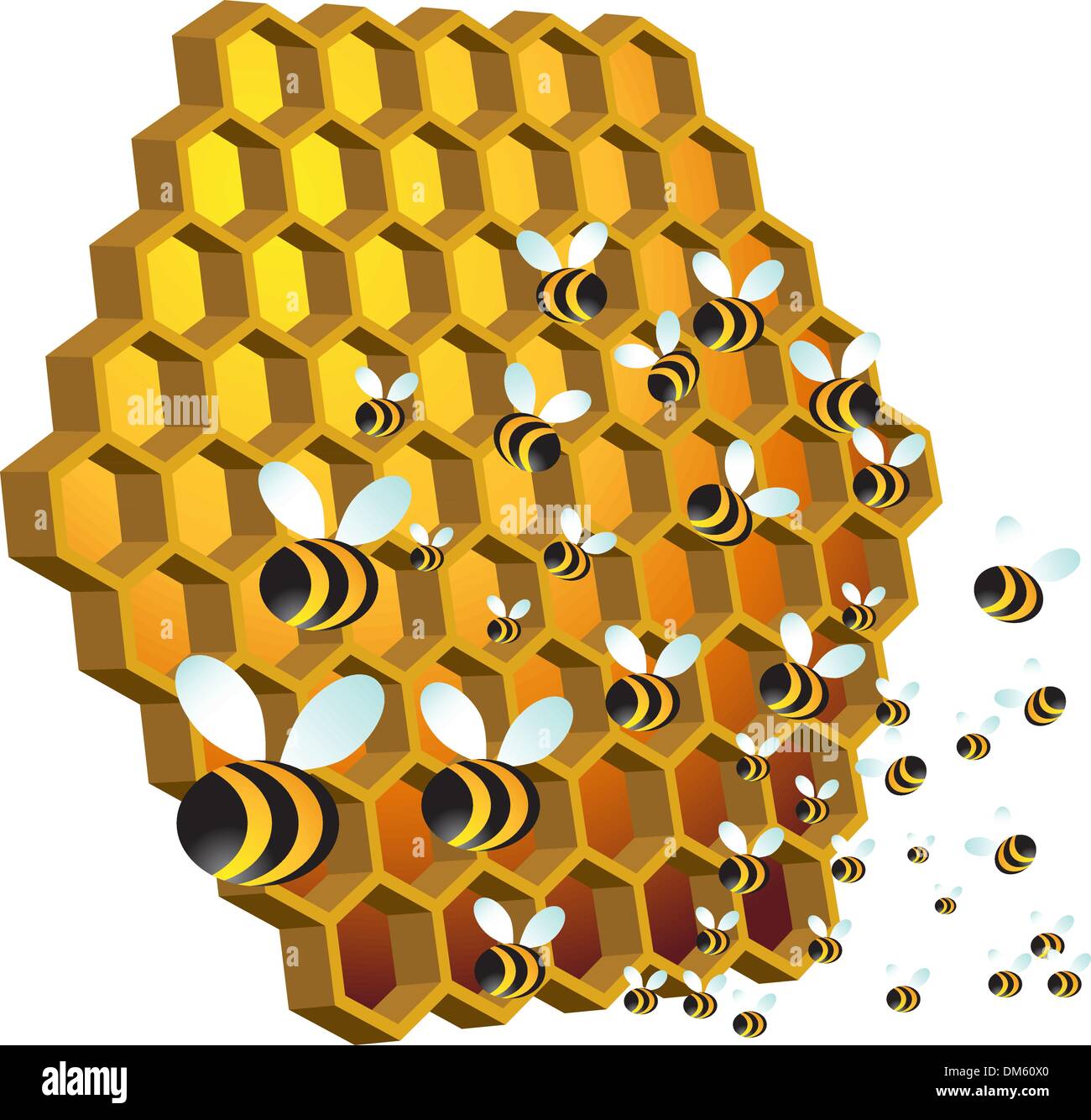 Swarming honey bee Stock Vector Images - Alamy