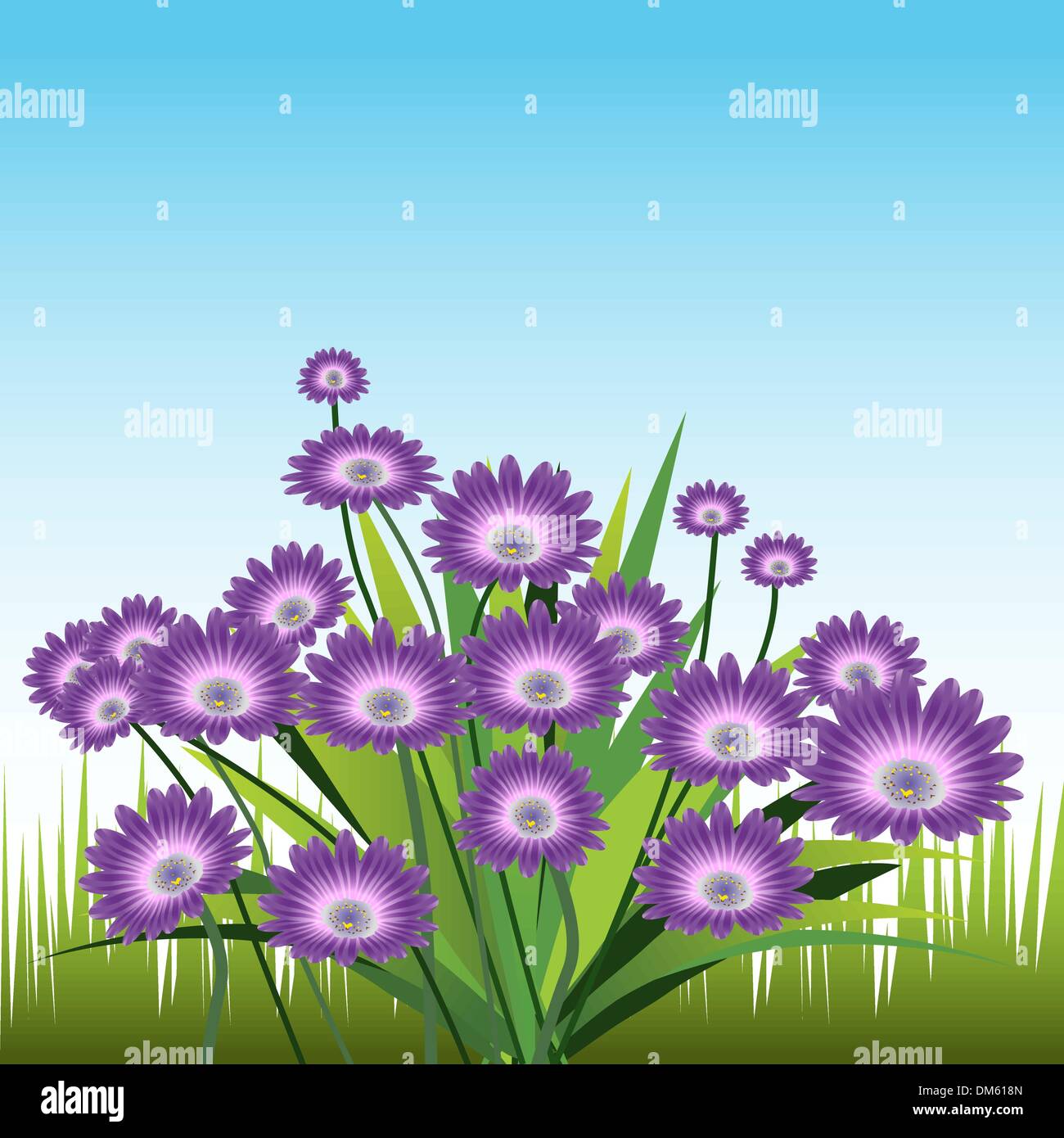 Purple daisy Stock Vector Images - Alamy