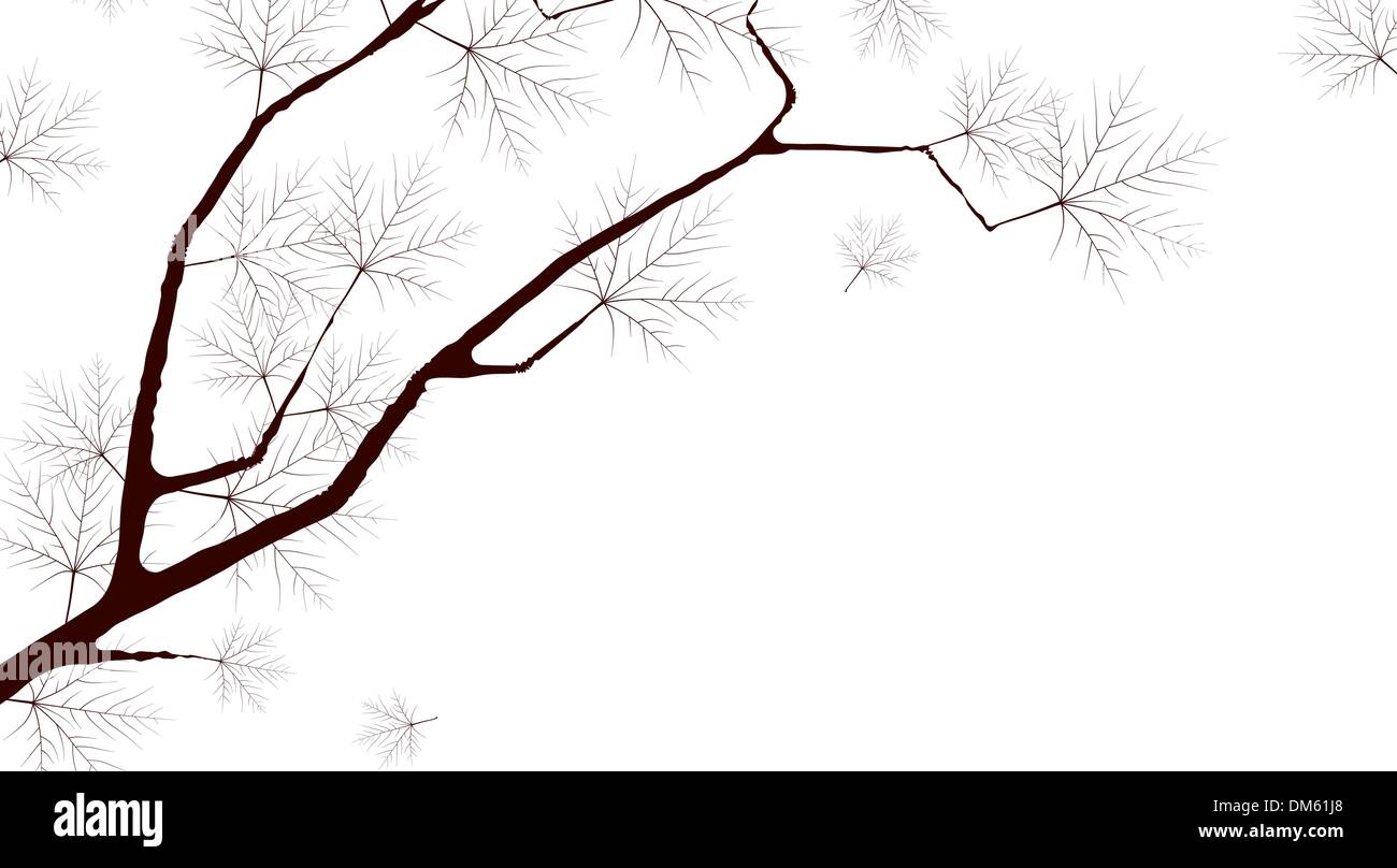 Fresh oak leaves background Stock Vector Images - Alamy