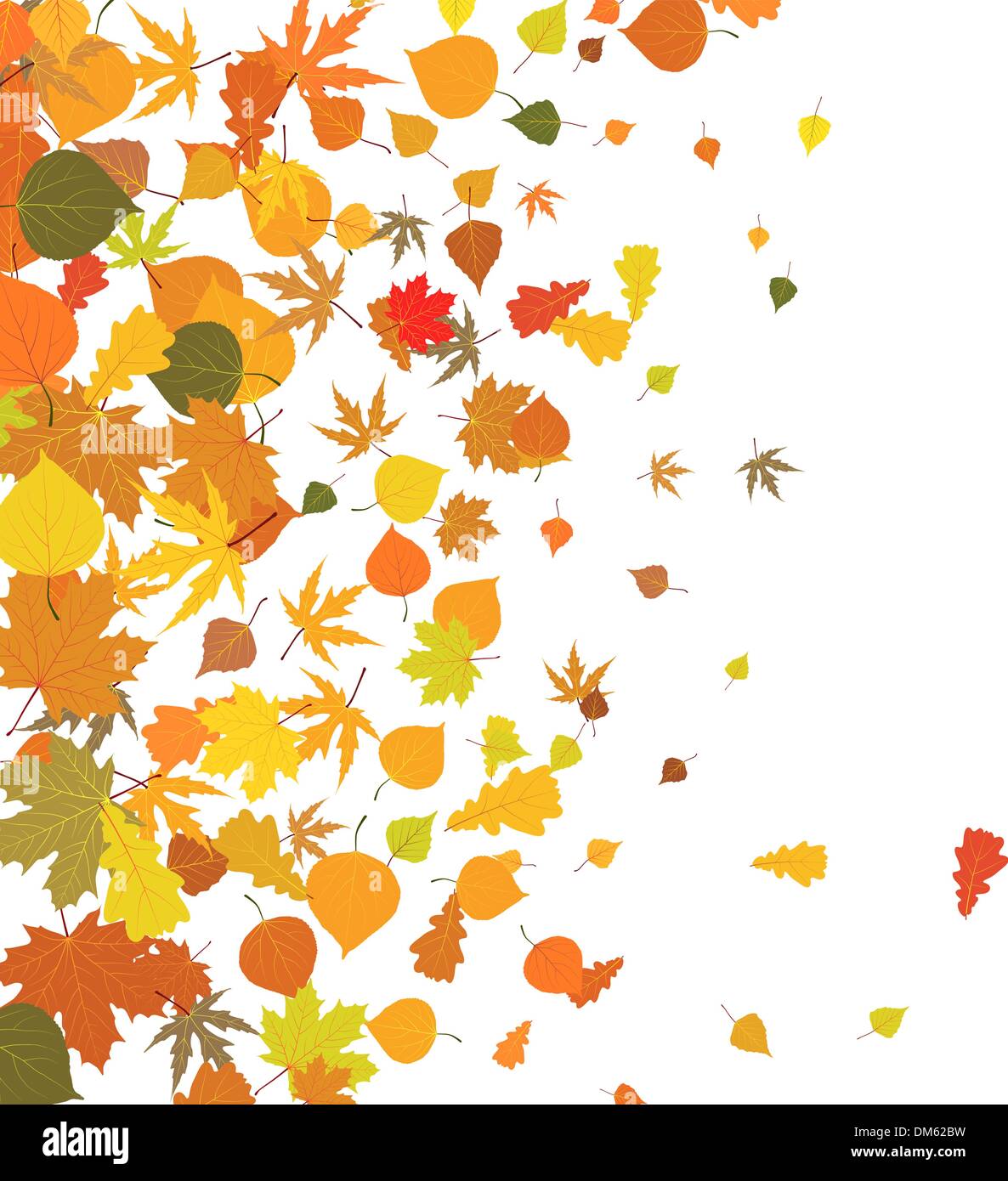 Fallen red autumn leaves Stock Vector Images - Alamy