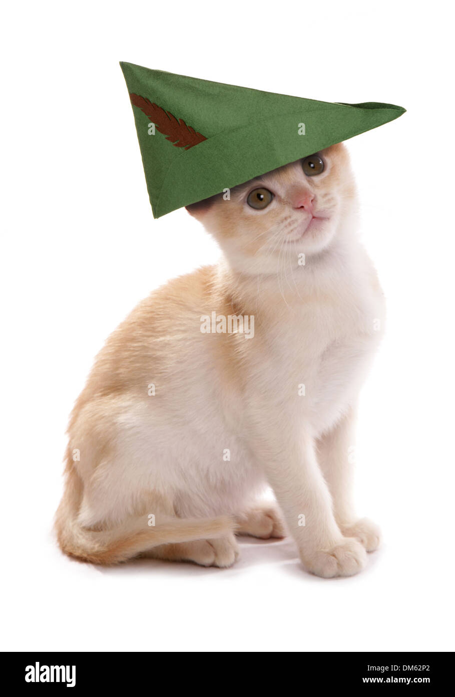 Robin hood hat hi-res stock photography and images - Alamy