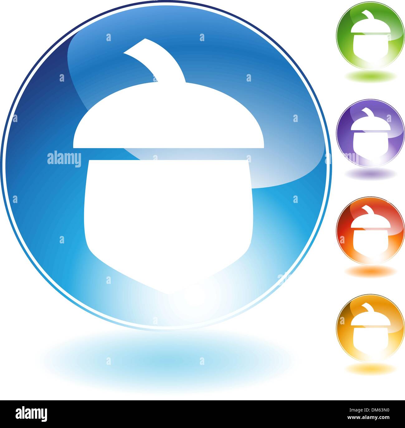 Shiny acorn Stock Vector Images - Alamy
