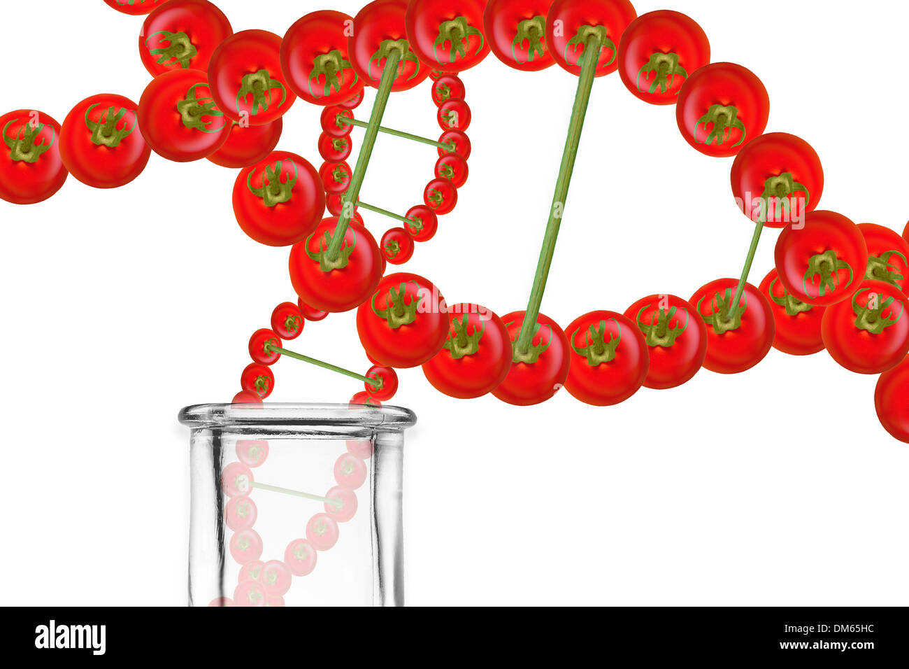 tomato DNA coming out of a glass Stock Photo - Alamy