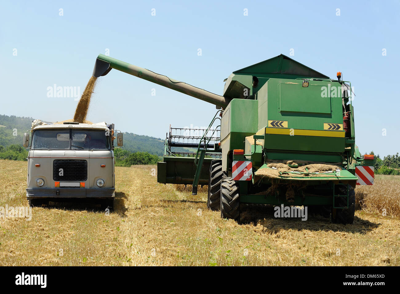 Combine harvesting wheat in field Stock Photo - Alamy