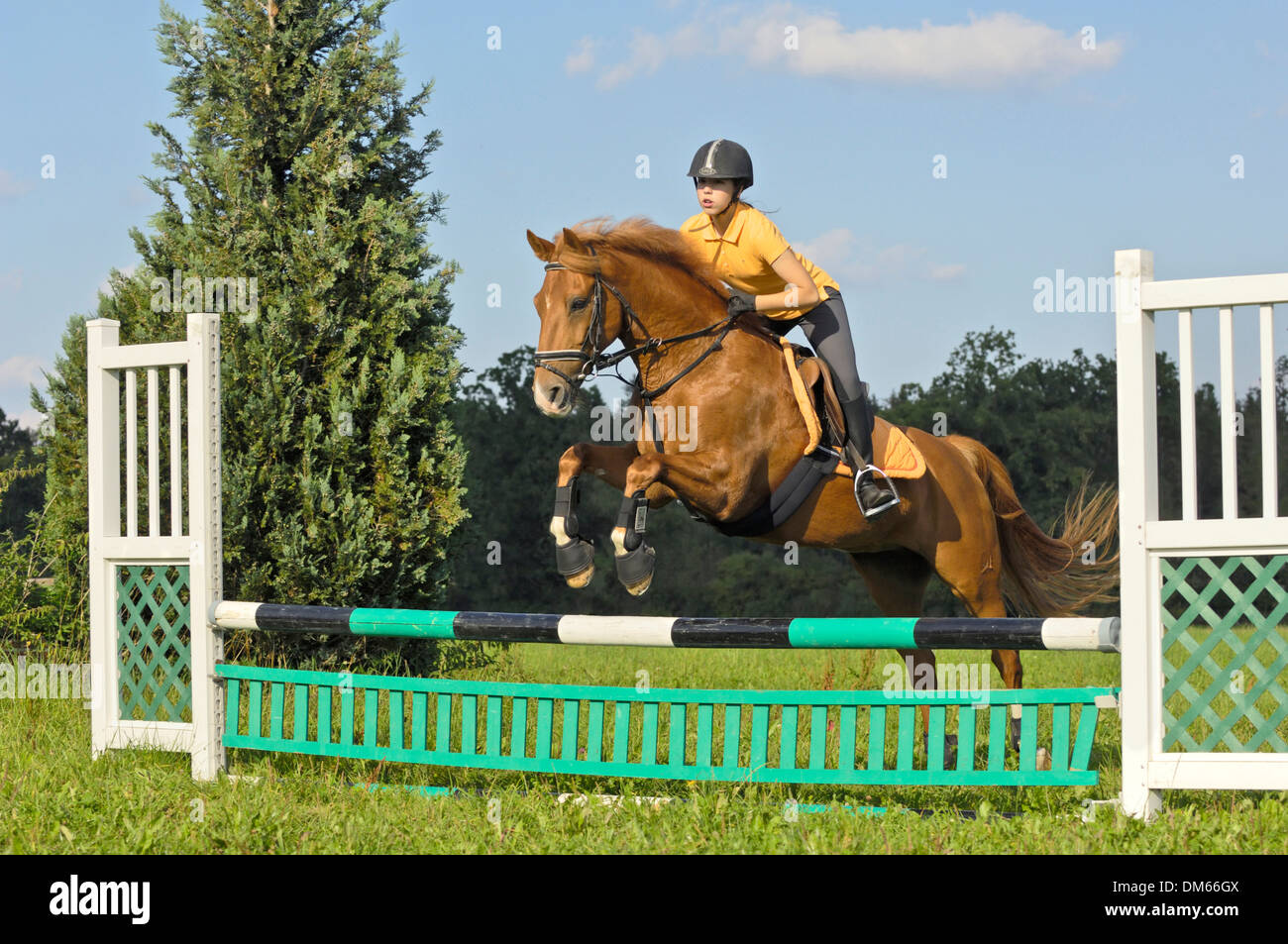 German Riding Pony. Girl jumping over an obstacle Stock Photo - Alamy