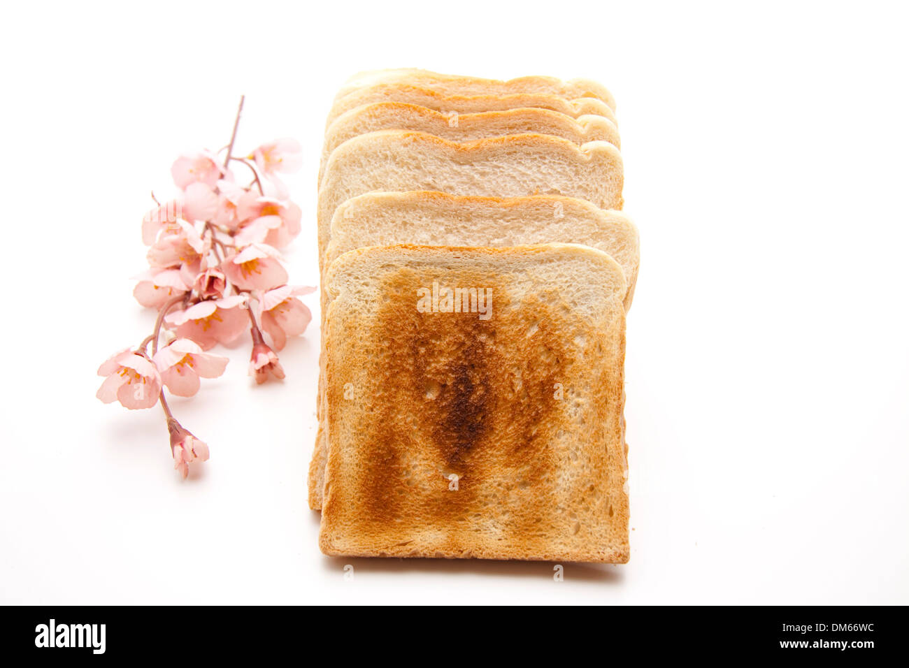 Wheat toast with flowering branch Stock Photo - Alamy