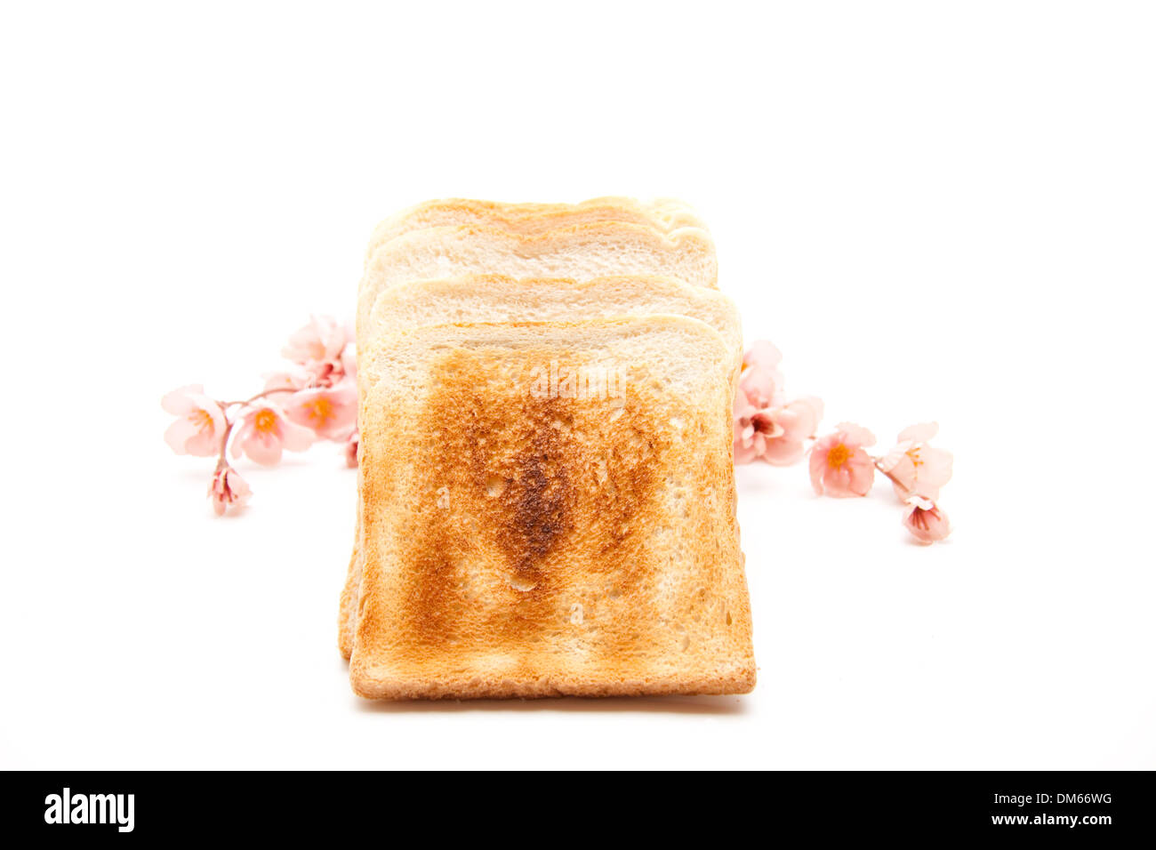 Wheat toast with flowering branch Stock Photo - Alamy