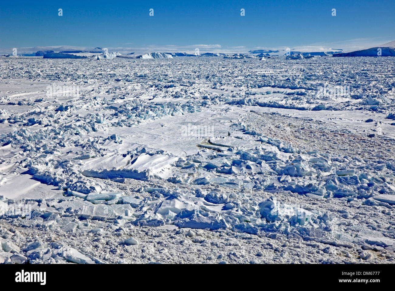 Icy landscape, pack ice, Weddell Sea, Antarctica Stock Photo - Alamy