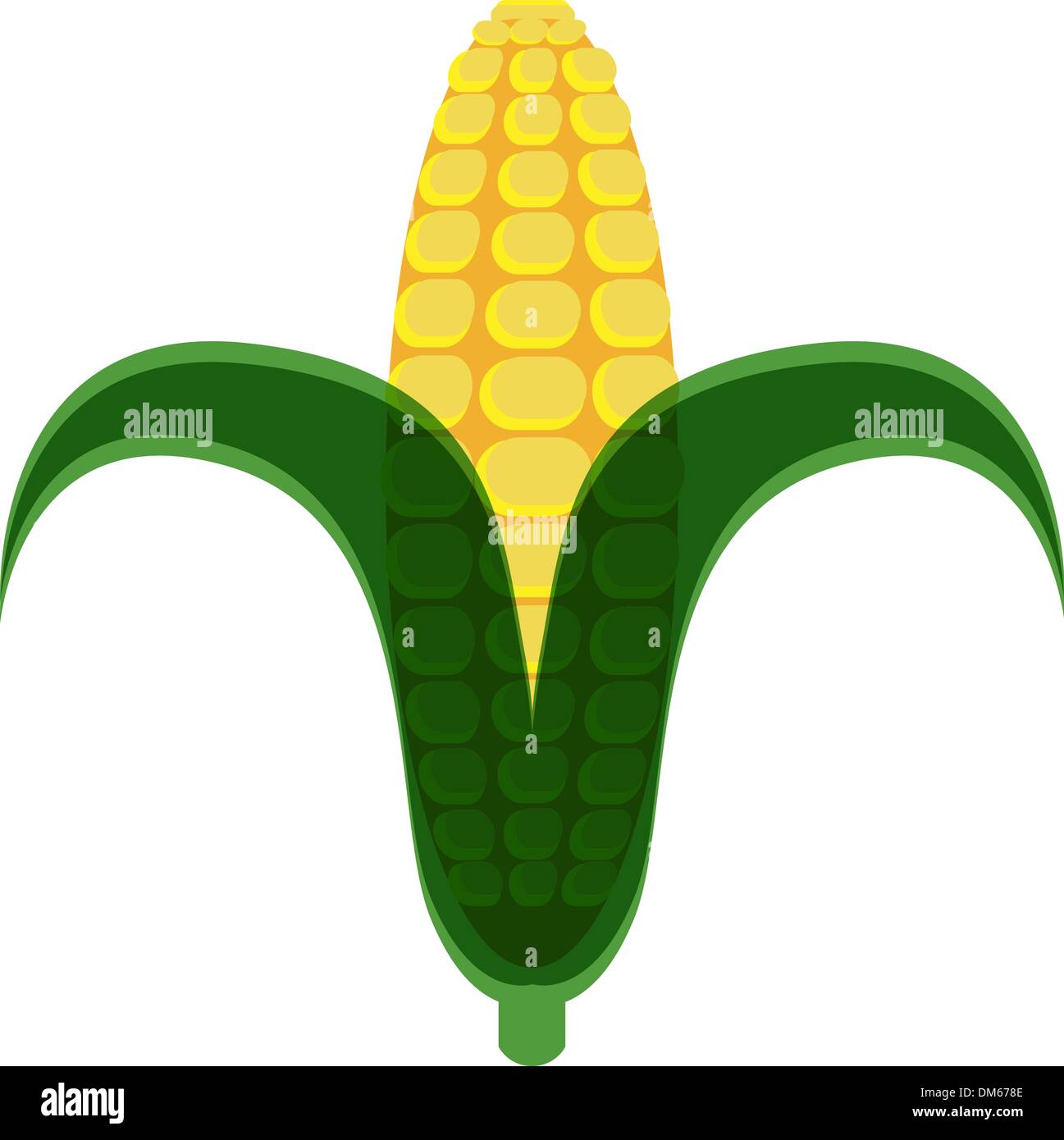 Cob Stock Vector Images - Alamy