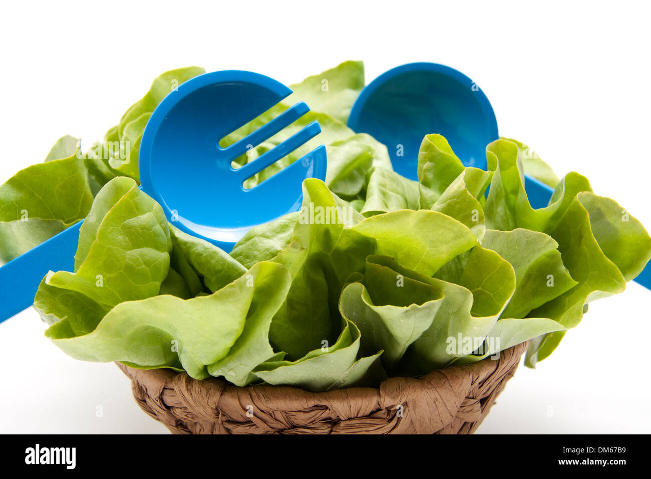 Lettuce in the salad cutlery Stock Photo - Alamy