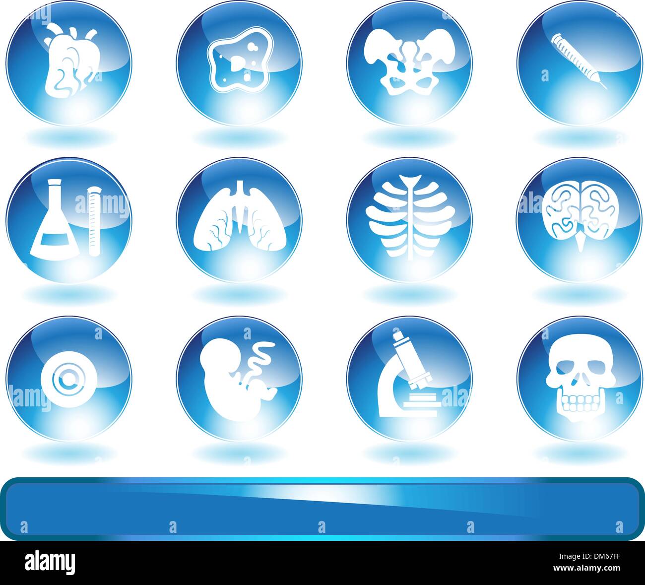 Biology Icon Set Stock Vector Image & Art - Alamy