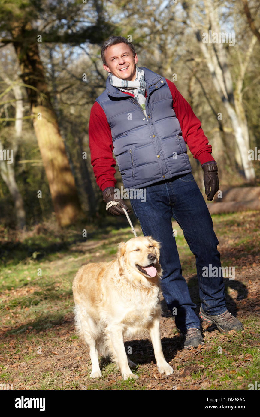 Dog on woods hi-res stock photography and images - Alamy