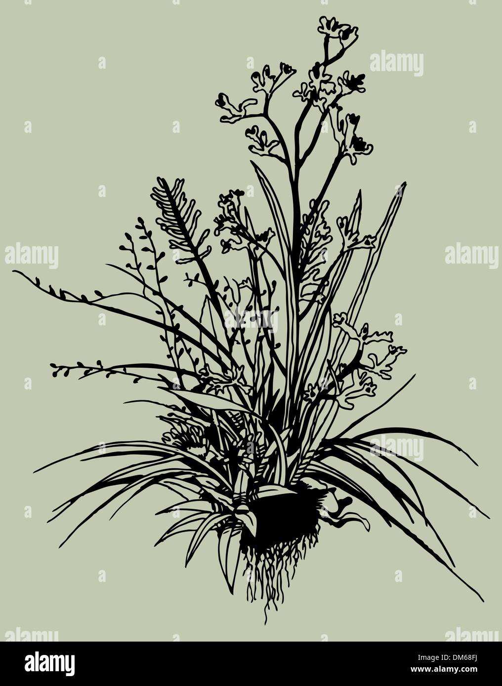 Flower Stock Vector Images - Alamy