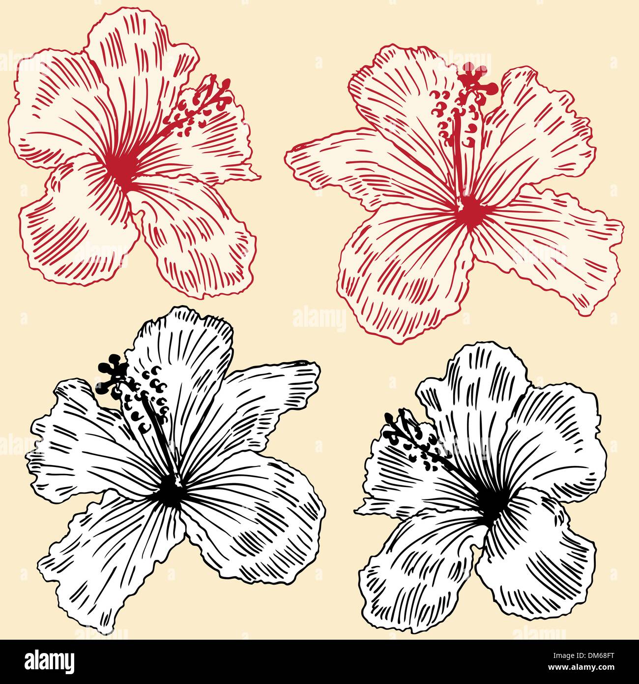 Flowers of maui Stock Vector Images - Alamy