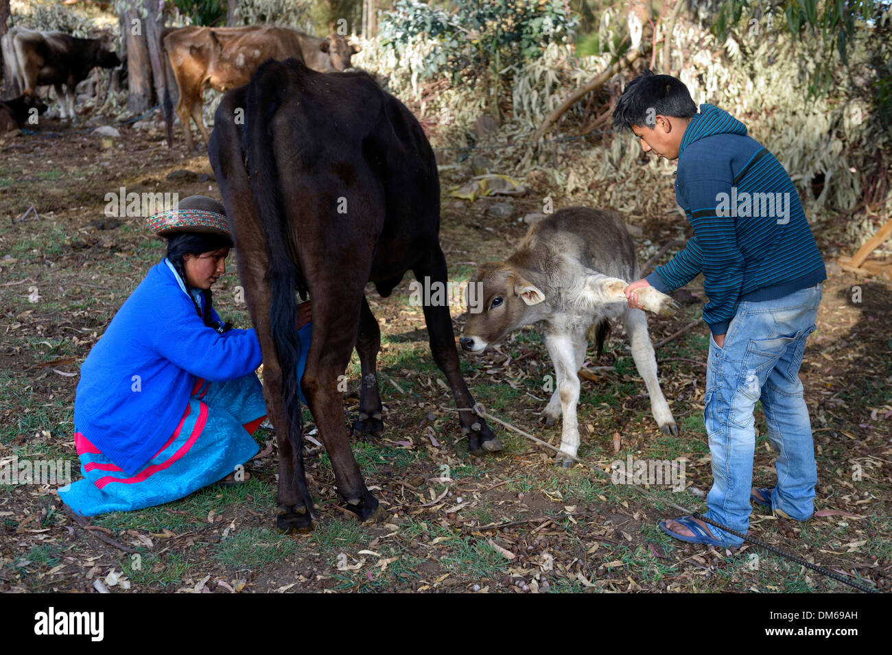 Quispillacta hi-res stock photography and images - Alamy
