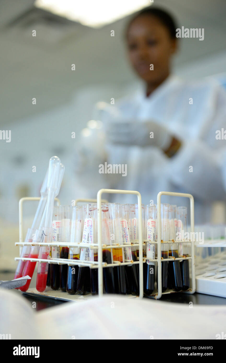 Test tubes with blood samples in the laboratory of the Red Cross blood ...
