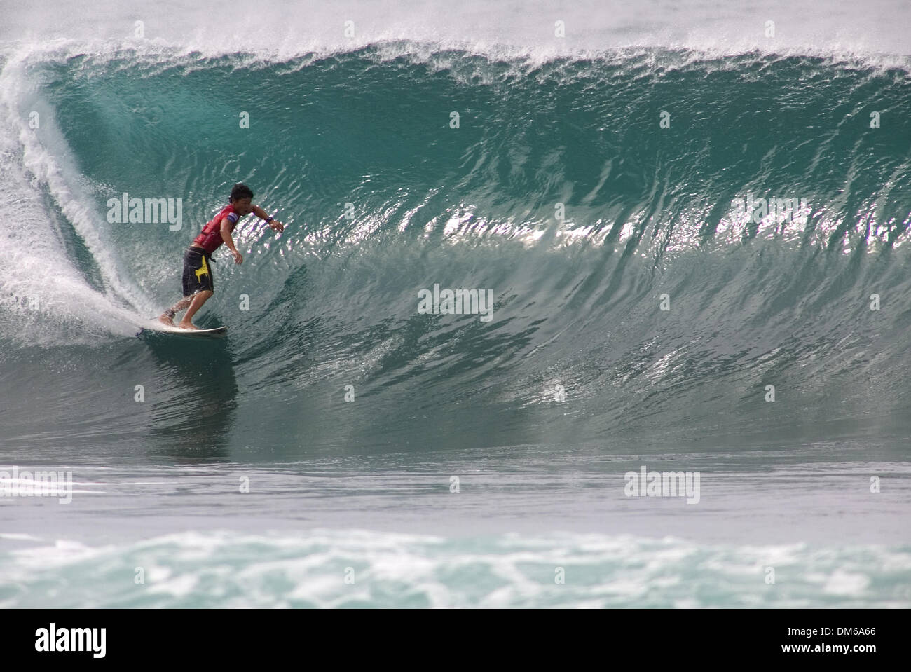 Dec 19, 2004; North Shore, HI, USA; Hawaiian KALANI ROBB during the ...