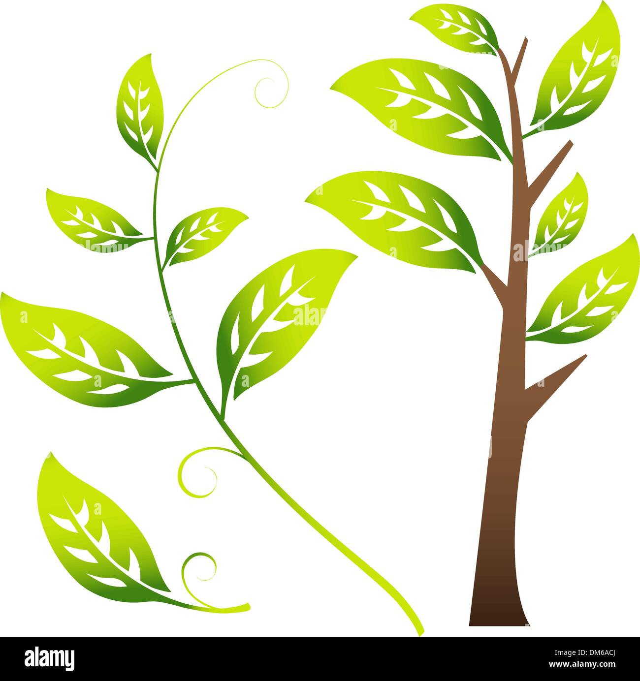 Images branches Stock Vector Images - Alamy