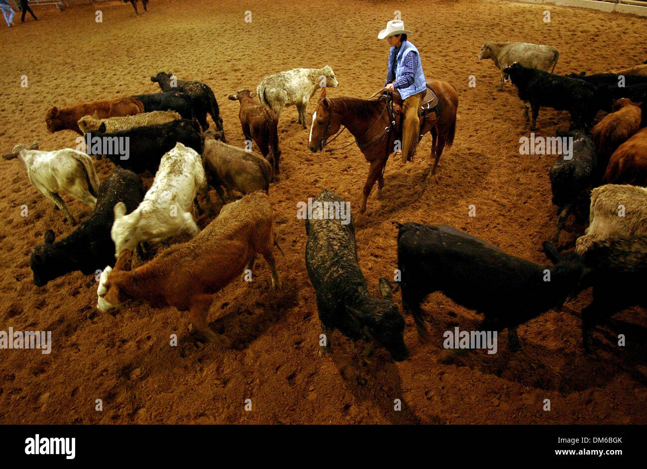 Rodeo cutting hi-res stock photography and images - Alamy