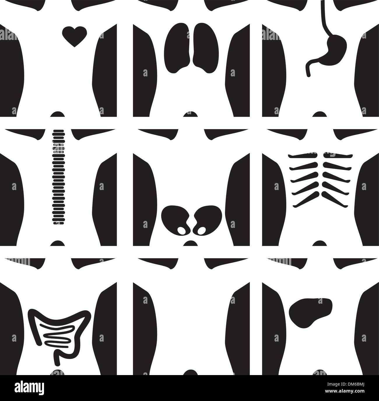 Female x ray Stock Vector Images - Alamy