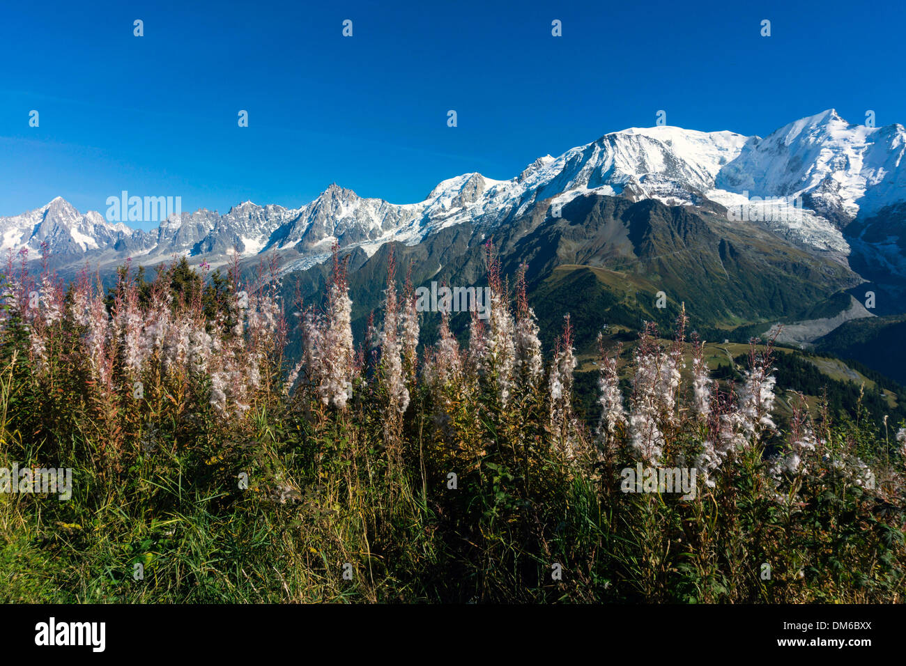 Mont Blanc mountain range seen from Le Prarion Stock Photo - Alamy