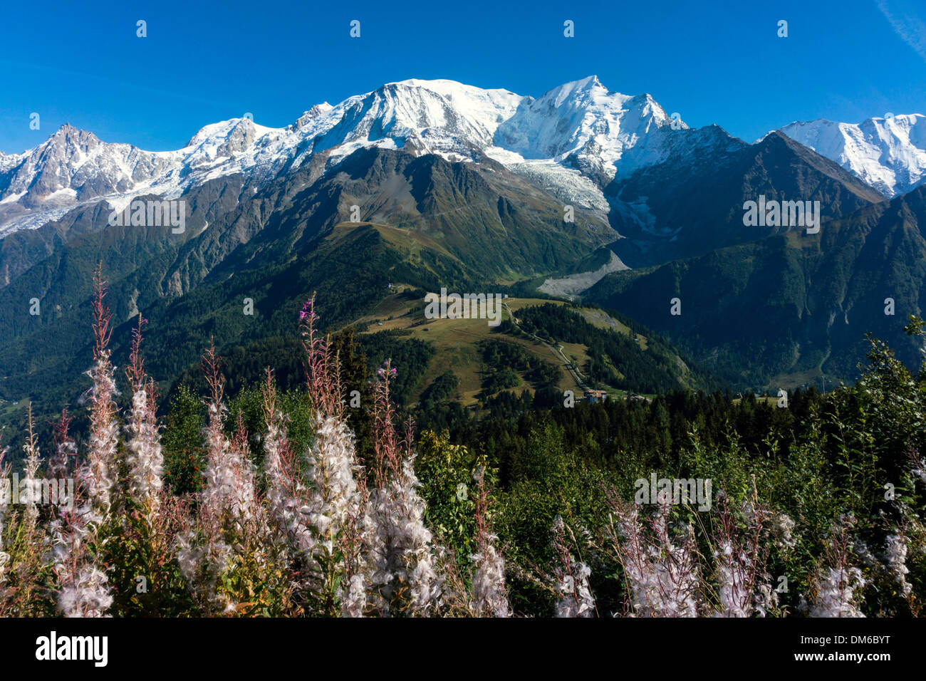 Mont Blanc mountain range seen from Le Prarion Stock Photo - Alamy
