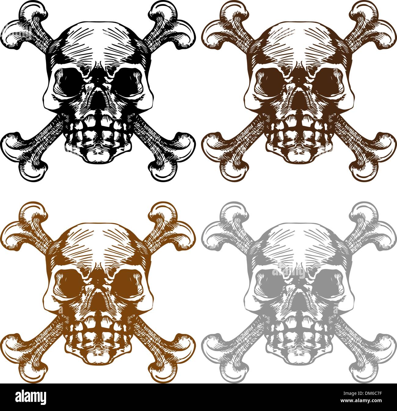 Skull 4 Cut Out Stock Images & Pictures - Alamy
