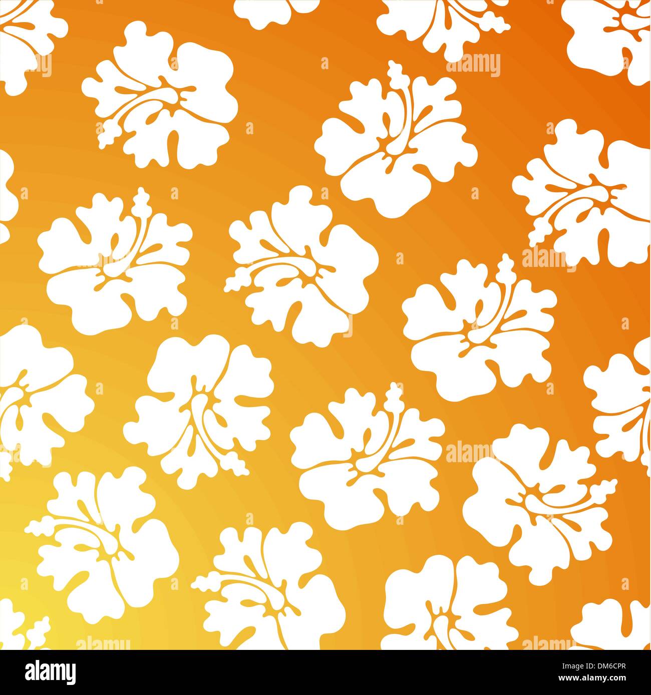 Orange yellow hibiscus Stock Vector Images - Alamy