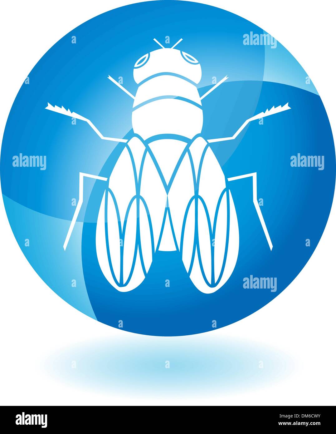 Fly insect eyes Stock Vector Images - Alamy
