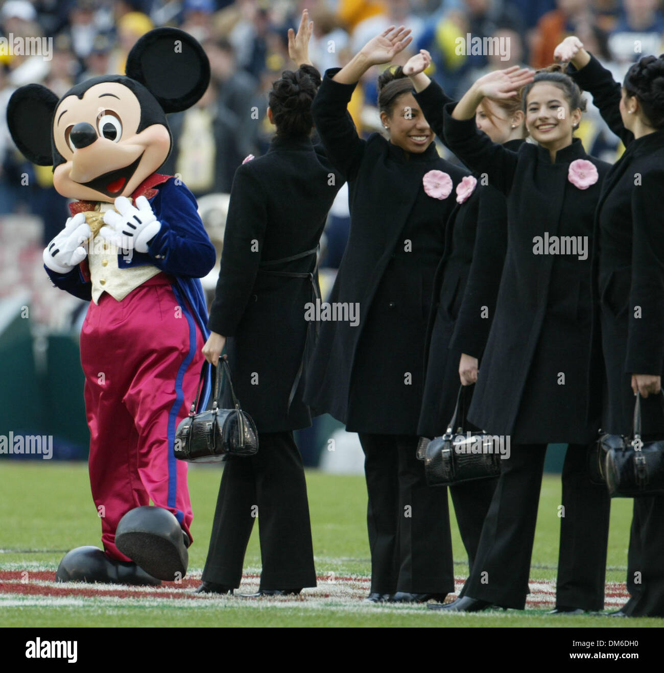 Texas field mouse hi-res stock photography and images - Alamy