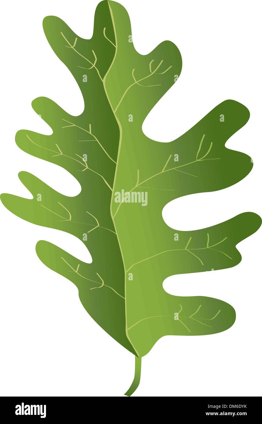 Shade of leaf Stock Vector Images - Alamy
