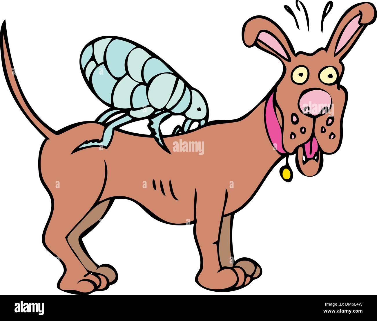 Dog with Flea Icon Stock Vector Image & Art - Alamy